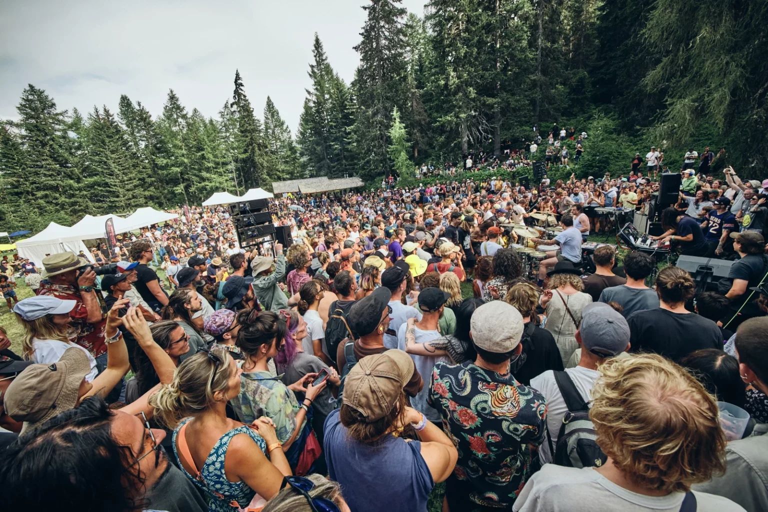 About The PALP - PALP Festival